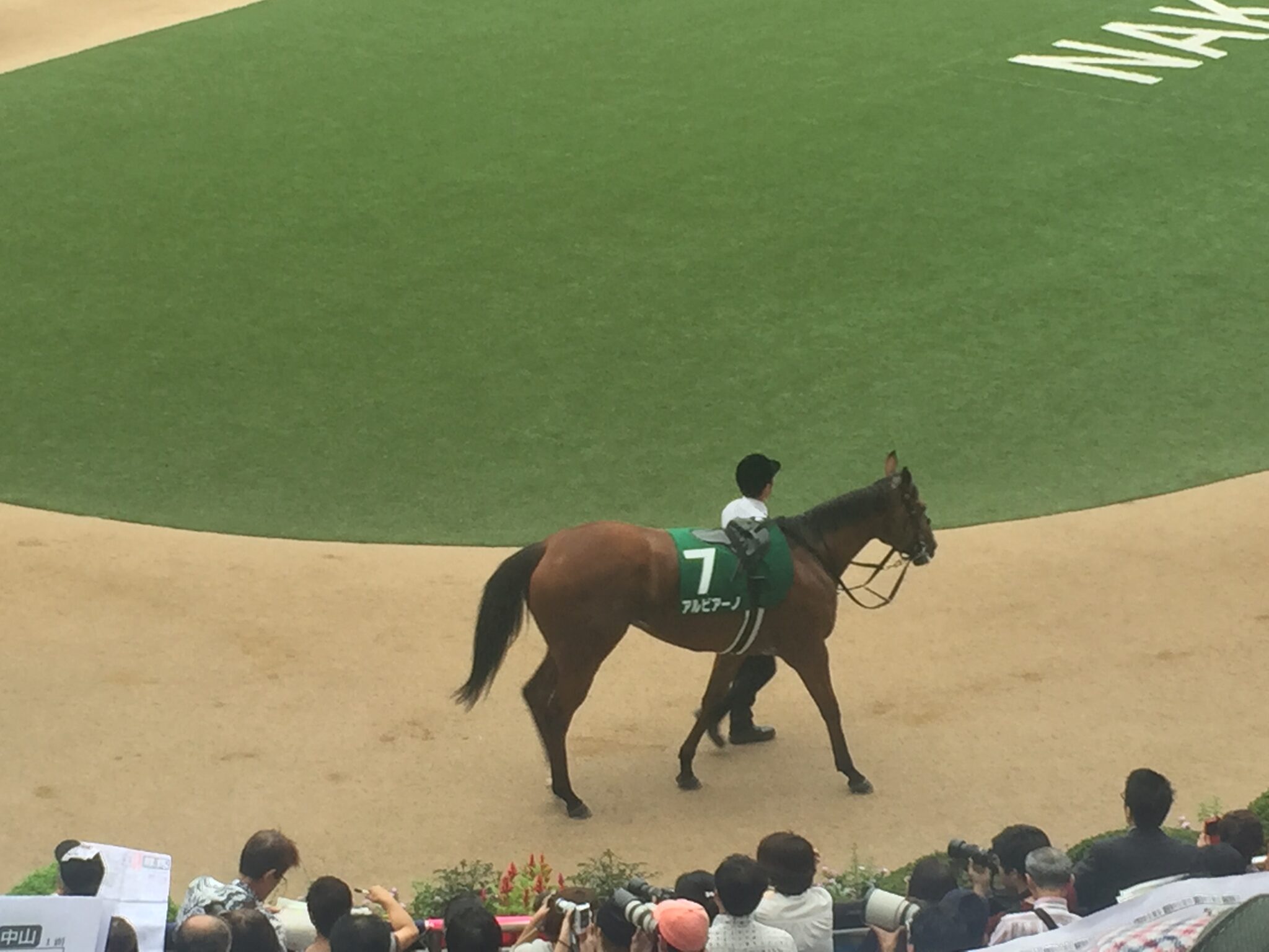 【秋競馬スタート！】京成杯オータムハンデ2025予想～今年は土曜開催のハンデ重賞～ – TAROの競馬〜2nd season〜